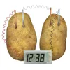 Potato Powered Clock Kit | Jaycar Australia